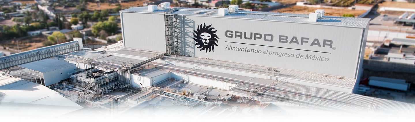 ¿Quiénes Somos? – Grupo Bafar