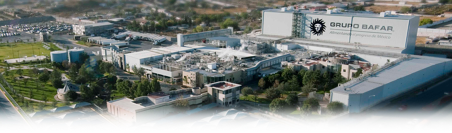 Misión y Valores – Grupo Bafar